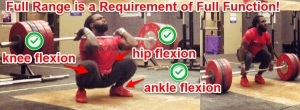 Triple-Flexion: The 3 Keys to a Great Squat | CMF Chiropractic